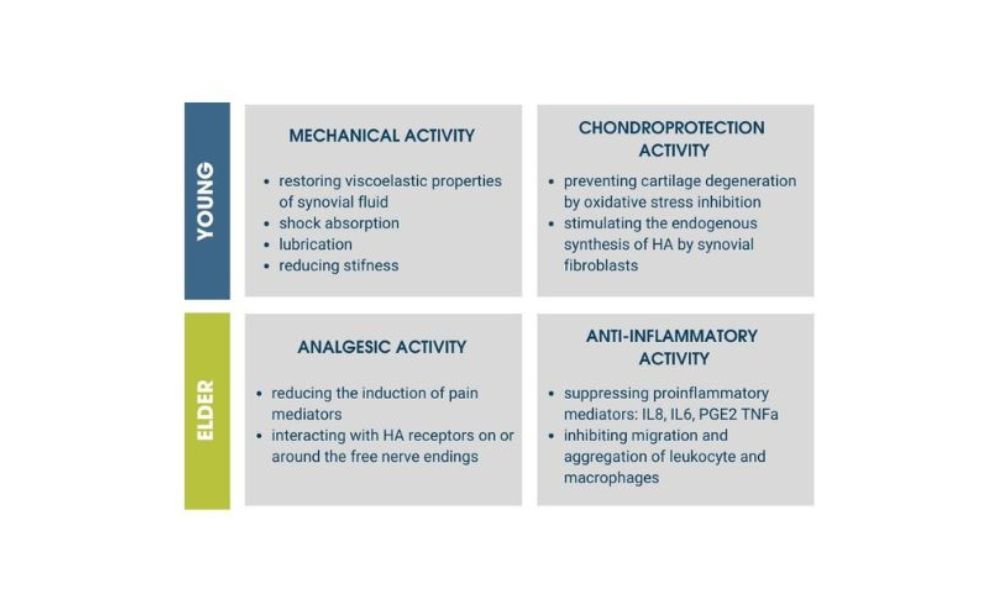 Osteoarthritis: the infiltrative therapy Vijoint HCC - Biofarma Group