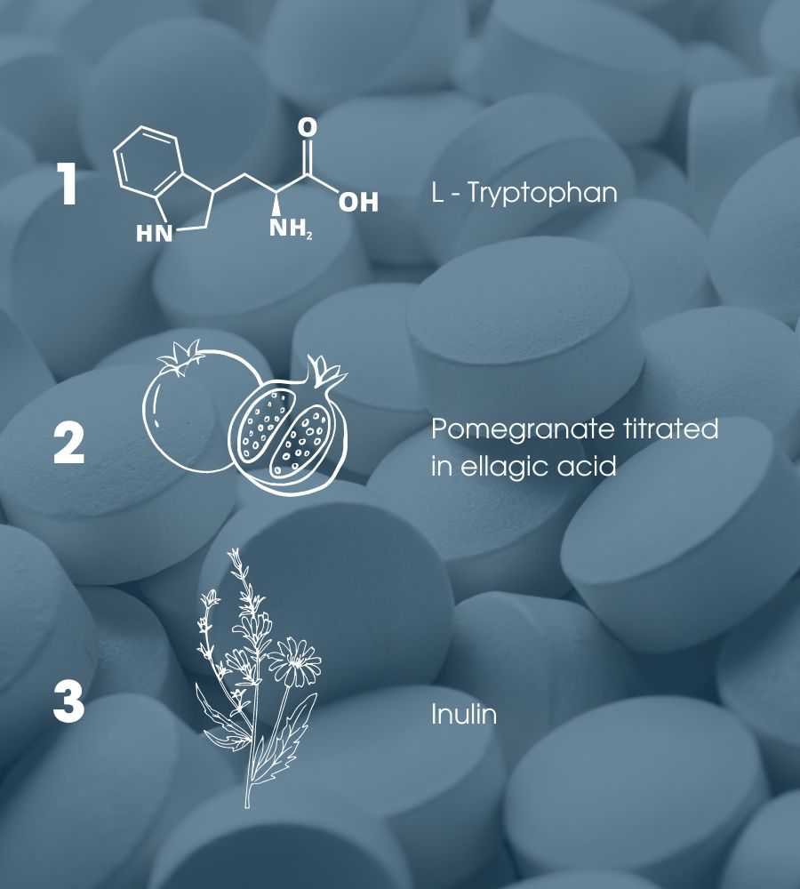 Irritable bowel syndrome: a preclinical study from Biofarma Group