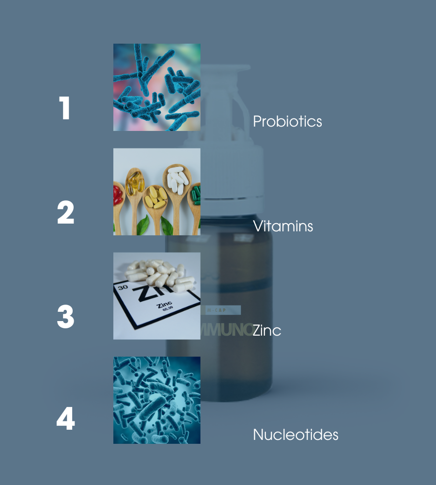 Immune system: the nutraceutical to support the body