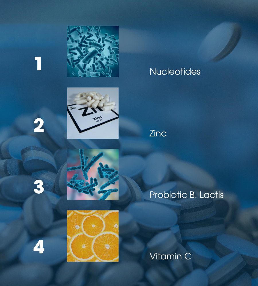 Immune system: the nutraceutical to support the body